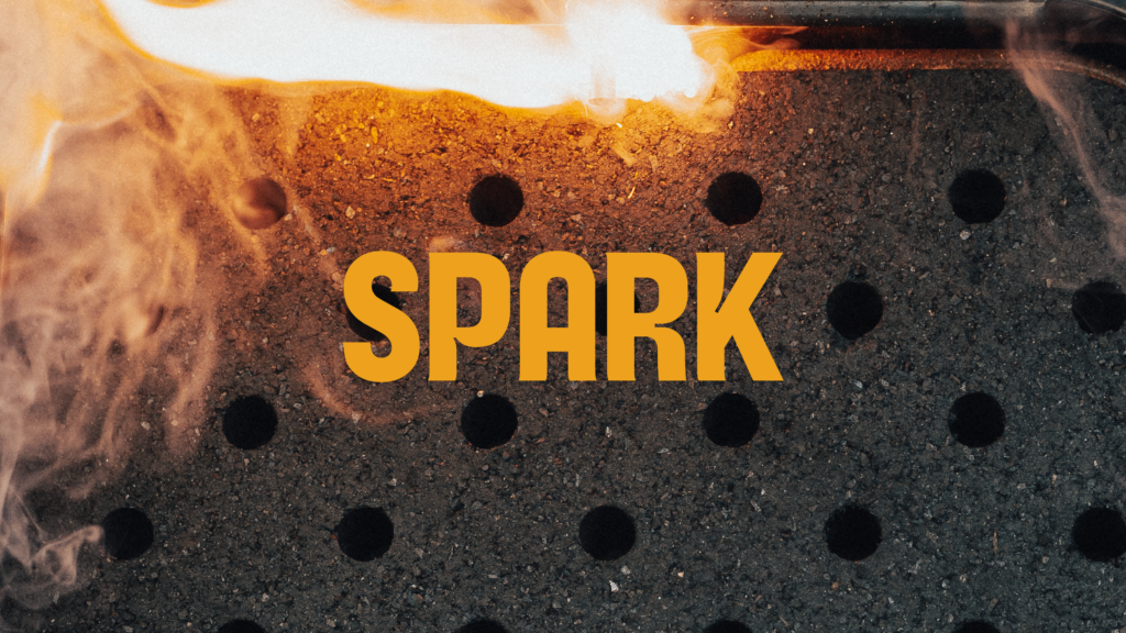 Earning your Degress - Illuminator